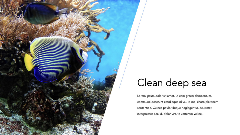 Aquarium PowerPoint for mac|Lifestyle|Keynote