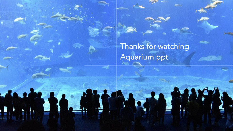 Aquarium PowerPoint for mac|Lifestyle|Keynote