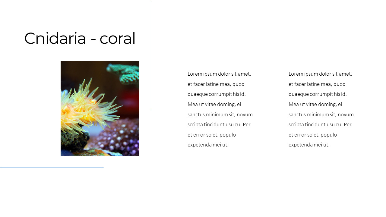 Aquarium Google PowerPoint Presentation|Lifestyle|Slides
