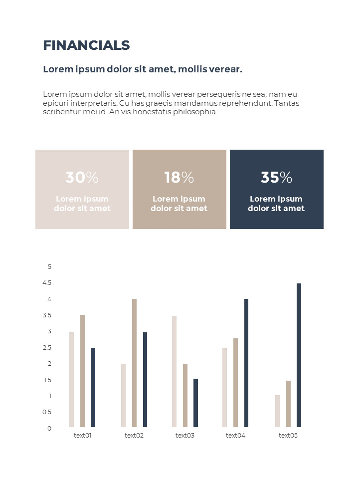 Business Plan Vertical presentation slide