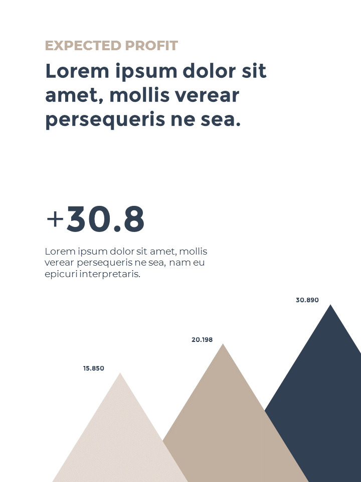 Business Plan Vertical presentation slide