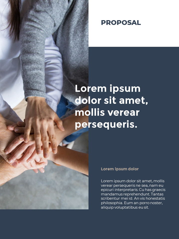 Business Plan Vertical presentation slide