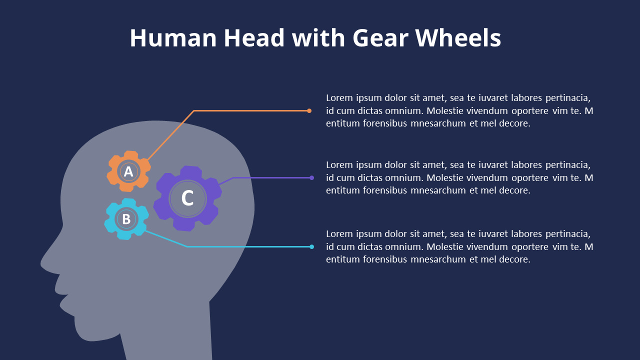 Contour of the Face Infographic Diagram|Infographics