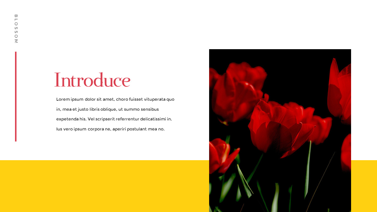 Tulip Slide PPT|Lifestyle|Templates