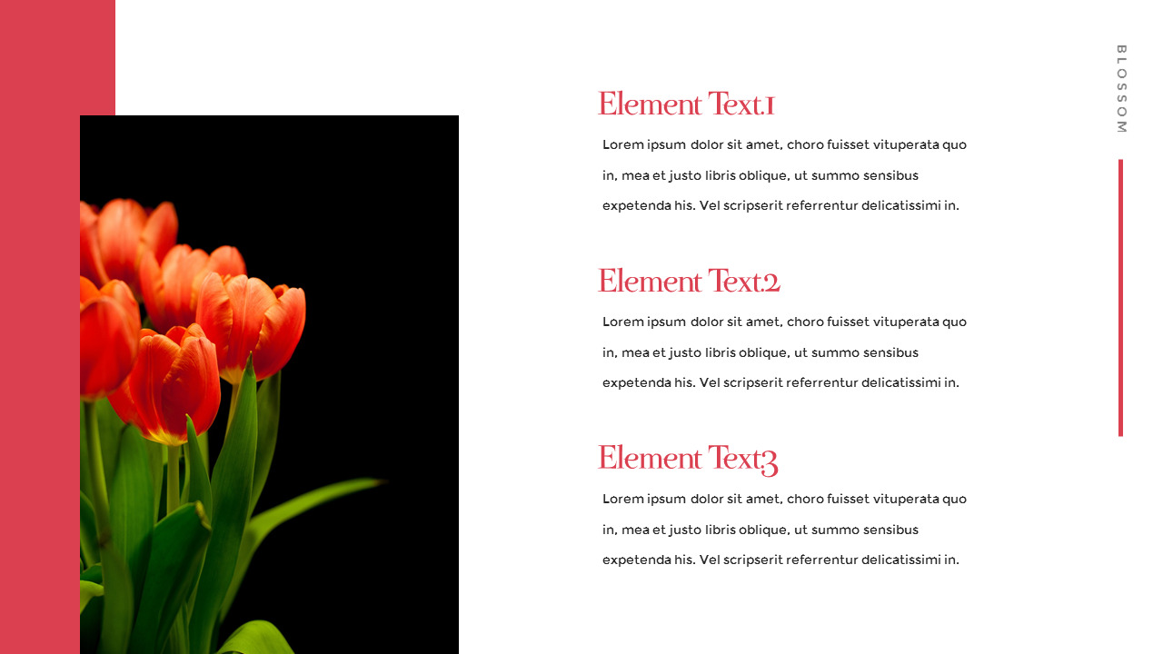 Tulip Slide PPT|Lifestyle|Templates