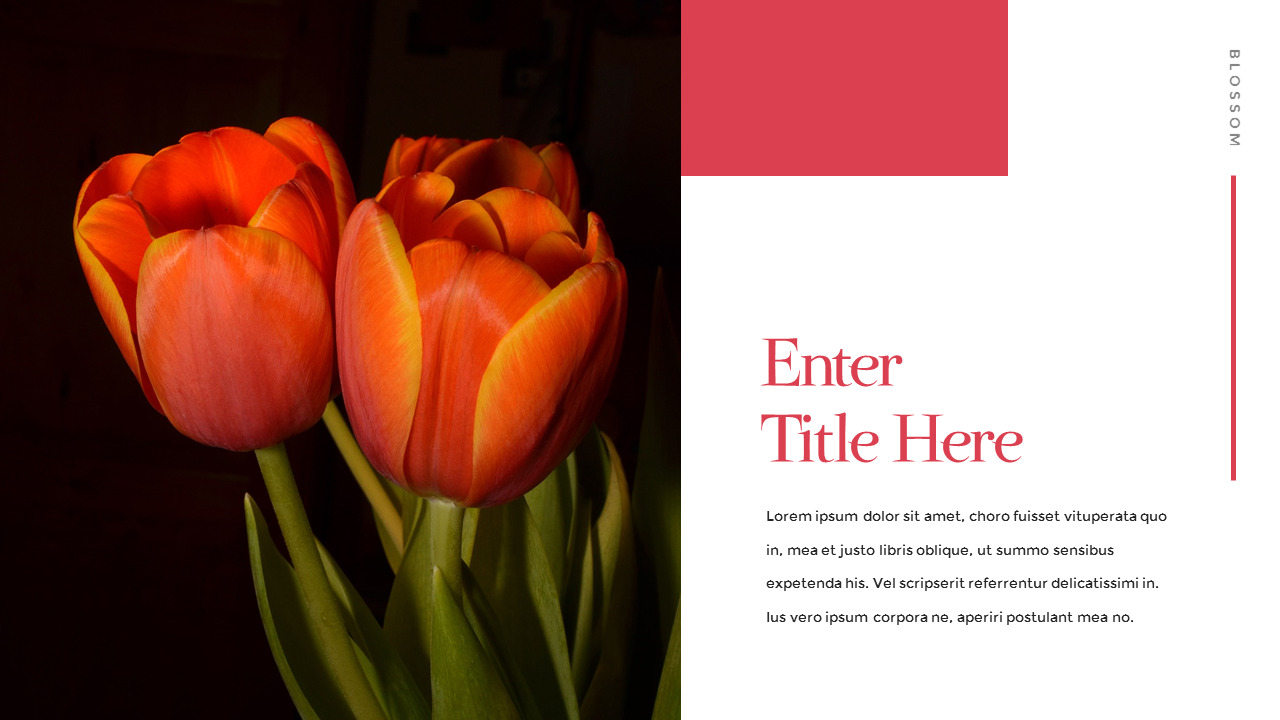 Tulip Slide PPT|Lifestyle|Templates