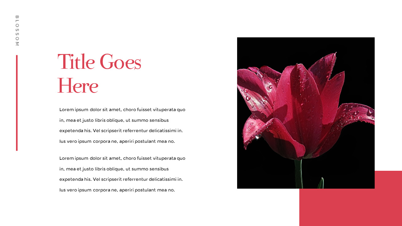 Tulip Slide PPT|Lifestyle|Templates