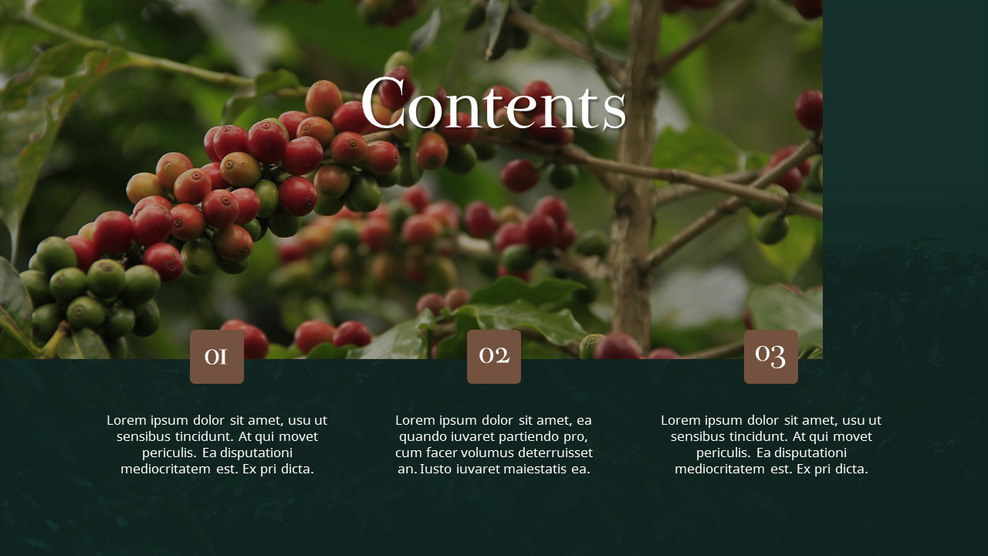 Coffee Plantation presentation slides ppt
