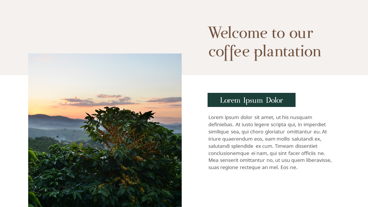 Coffee Plantation presentation slides ppt