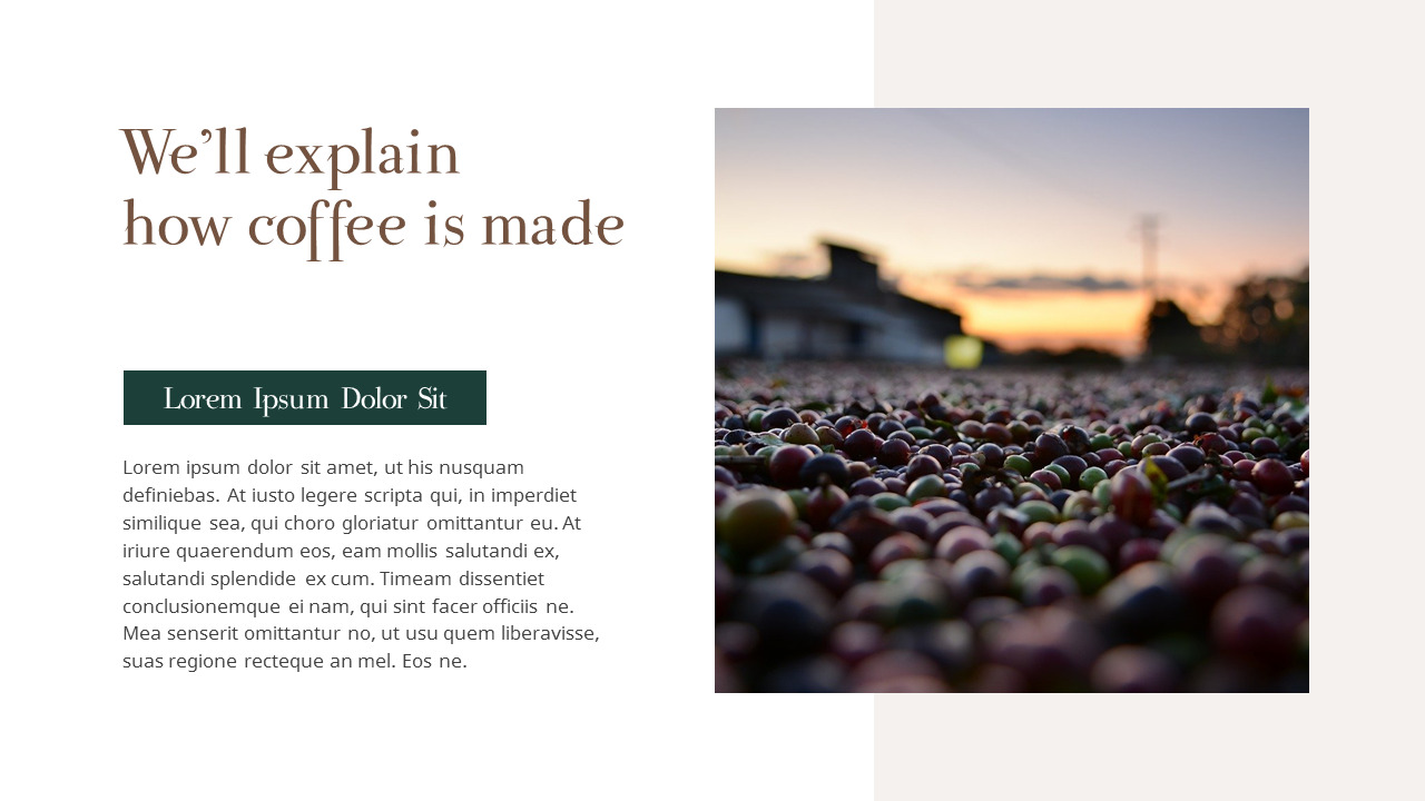 Coffee Plantation presentation slides ppt