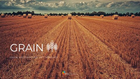 Grain Professional PPT|Business|Templates