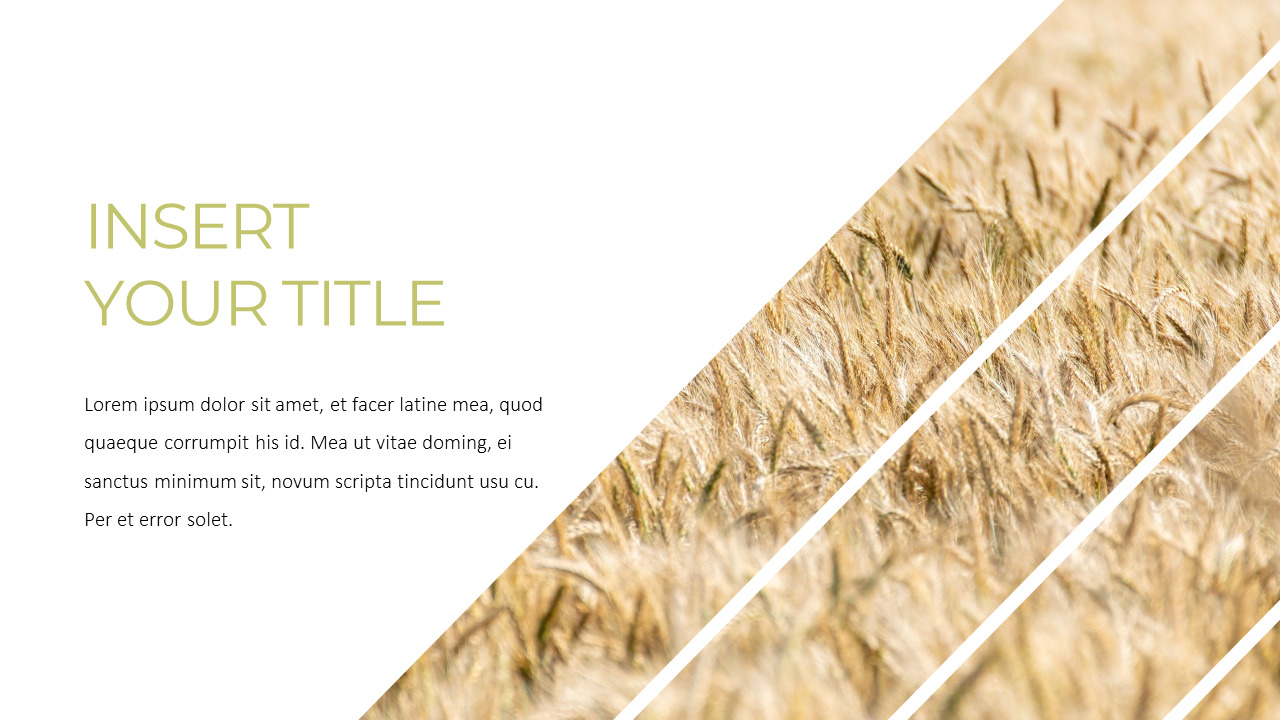Grain Professional PPT|Business|Templates