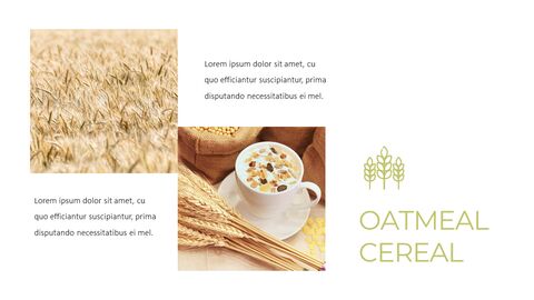 Grain Professional PPT|Business|Templates
