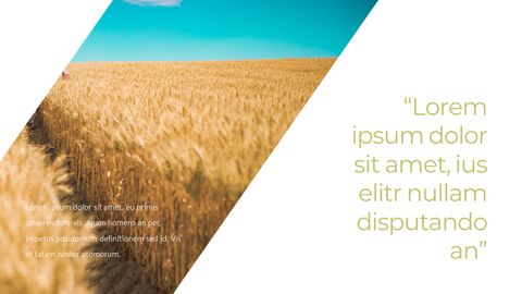Grain Professional PPT|Business|Templates