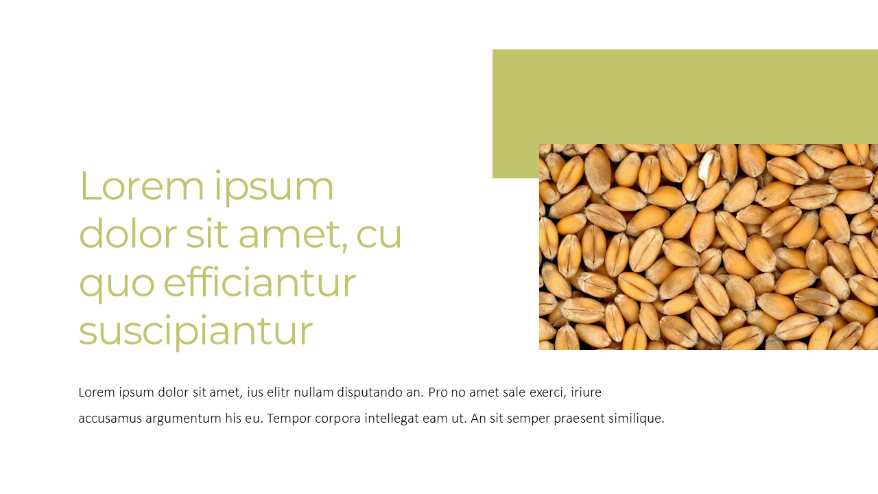 Grain Professional PPT|Business|Templates