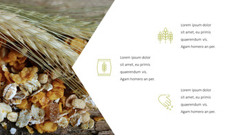 Grain Professional PPT|Business|Templates