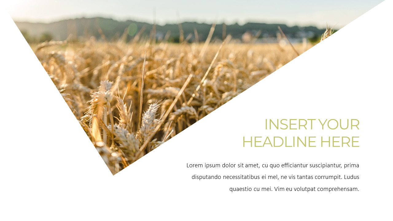 Grain Professional PPT|Business|Templates