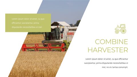 Grain Professional PPT|Business|Templates