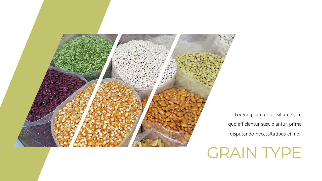 Grain Professional PPT|Business|Templates