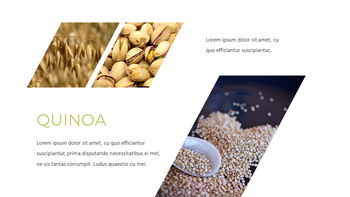 Grain Professional PPT|Business|Templates