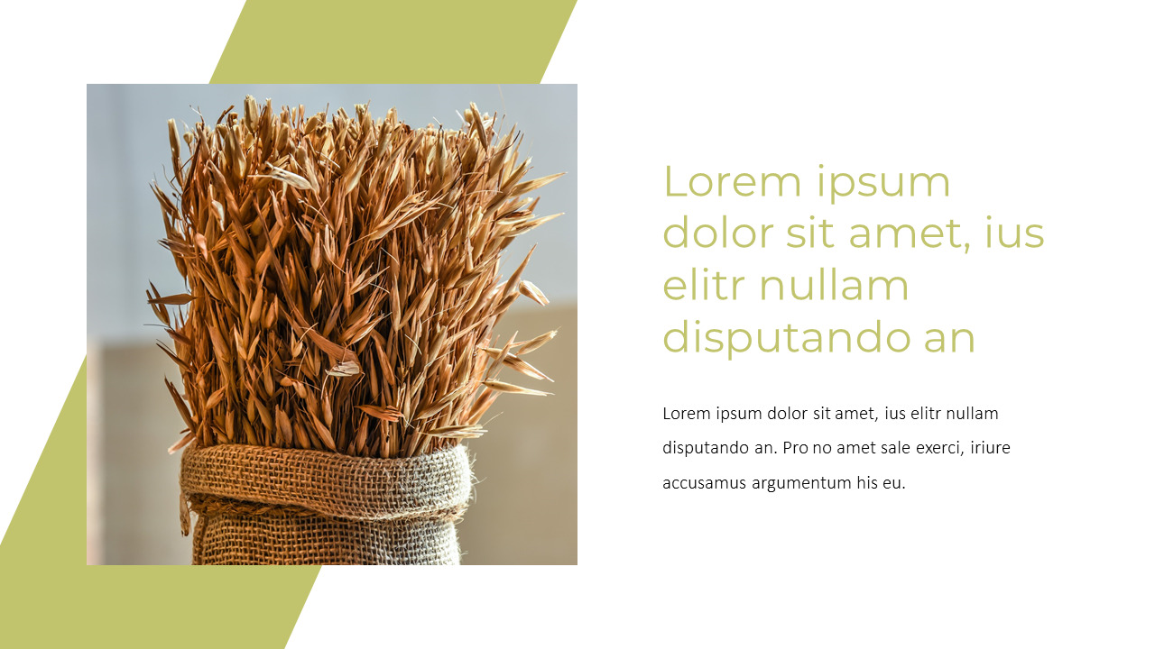 Grain Professional PPT|Business|Templates