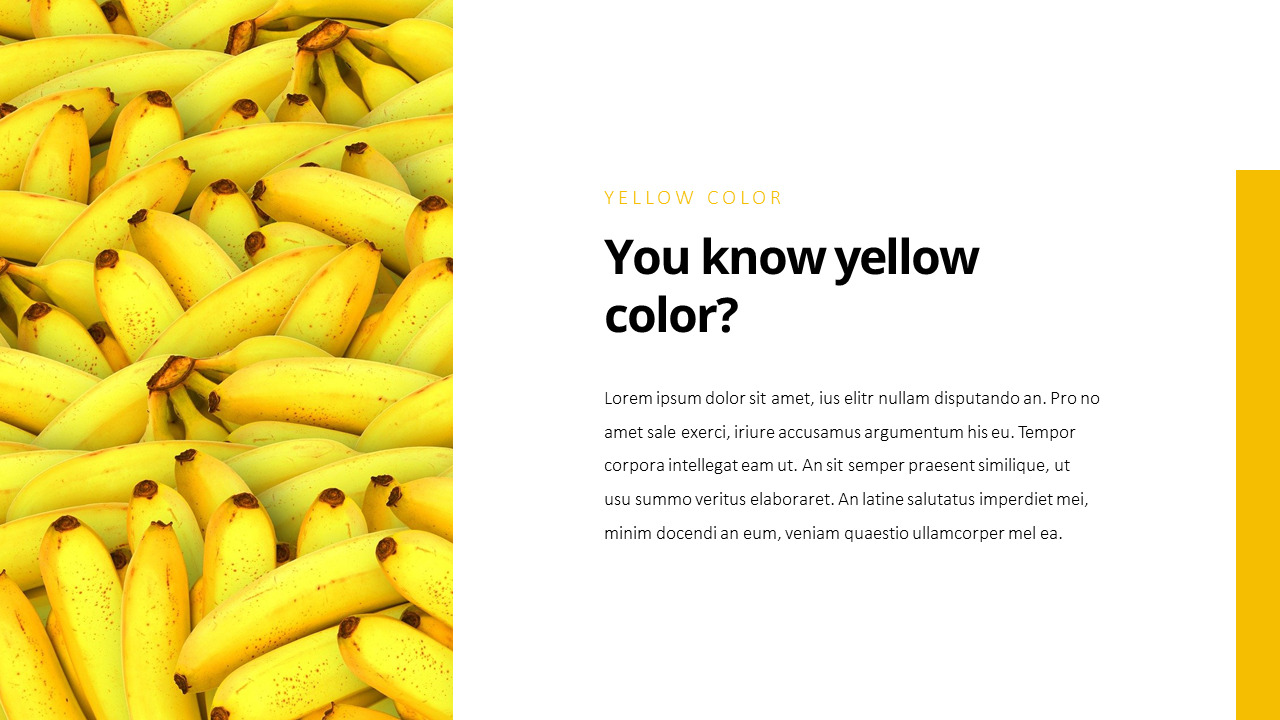 Yellow Spectrum PPT Design Templates|Lifestyle