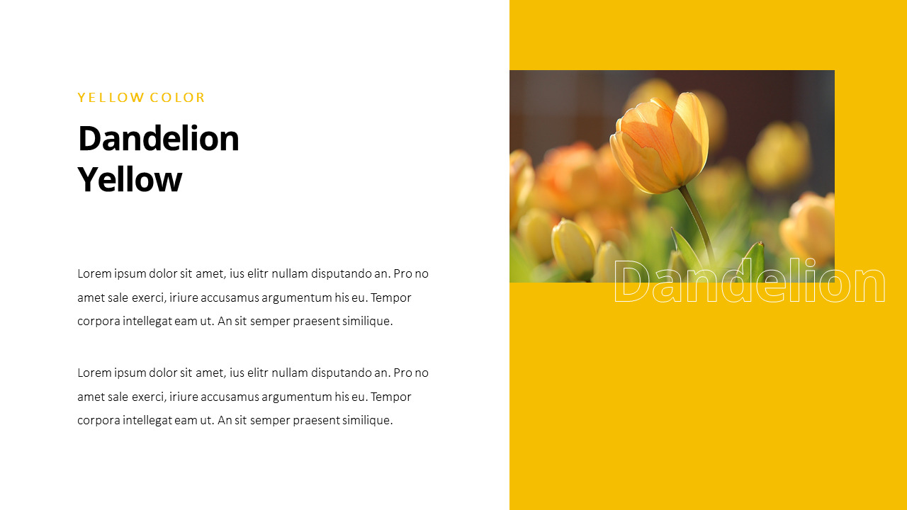 Yellow Spectrum PPT Design Templates|Lifestyle