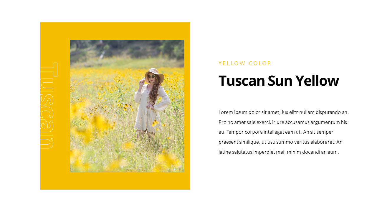 Yellow Spectrum PPT Design Templates|Lifestyle