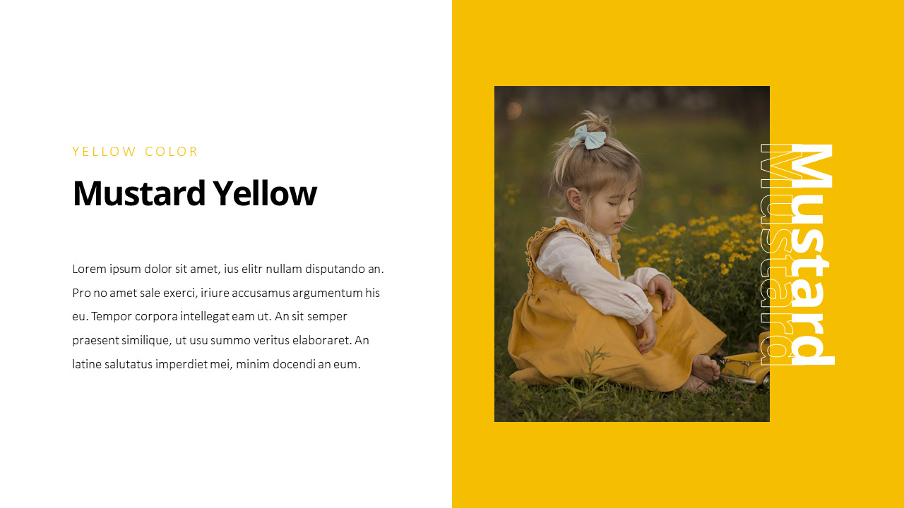 Yellow Spectrum PPT Design Templates|Lifestyle