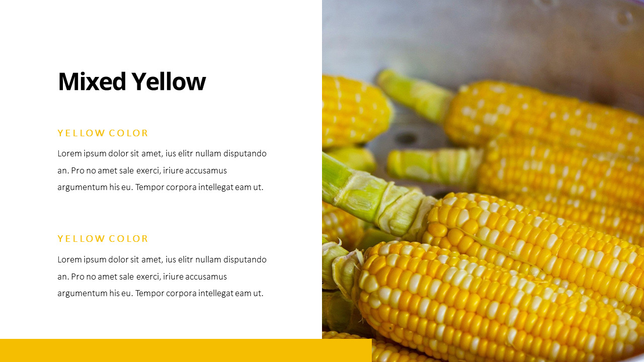 Yellow Spectrum PPT Design Templates|Lifestyle