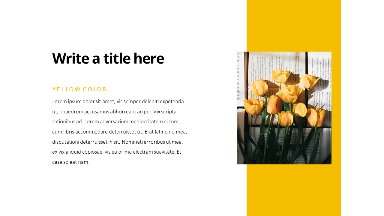 Yellow Spectrum PPT Design Templates|Lifestyle