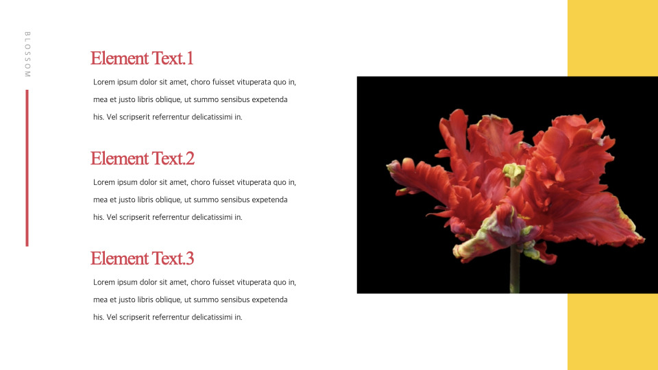 Tulip Multipurpose Keynote Template|Lifestyle