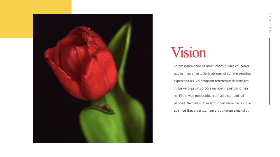 Tulip Multipurpose Keynote Template|Lifestyle