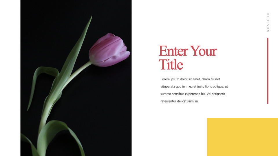 Tulip Multipurpose Keynote Template|Lifestyle