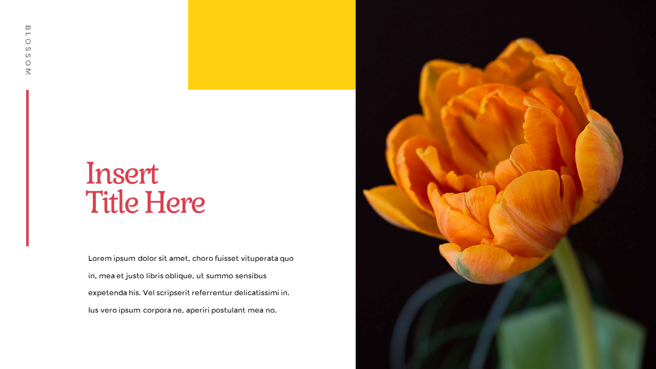 Tulip Easy Slides Design|Lifestyle|Google