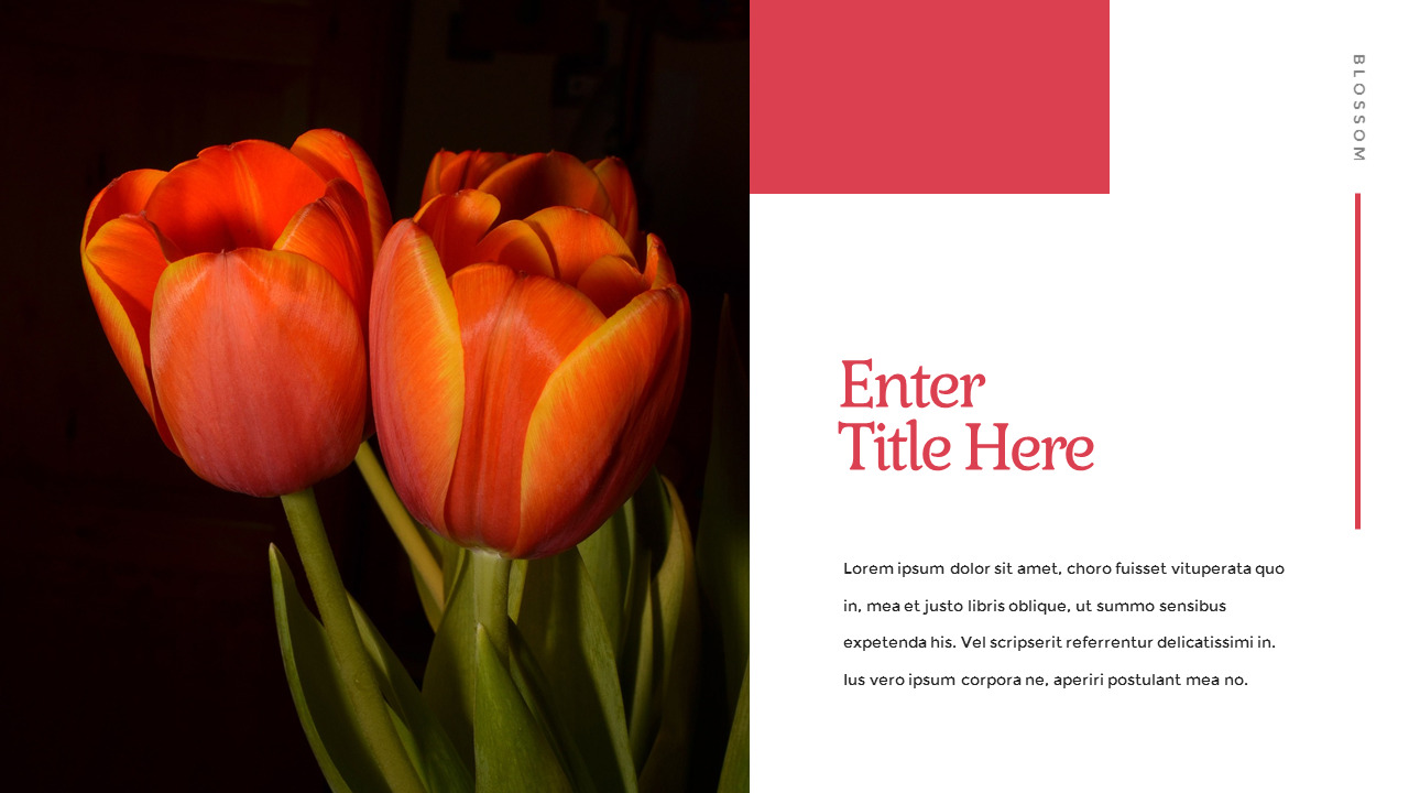Tulip Easy Slides Design|Lifestyle|Google