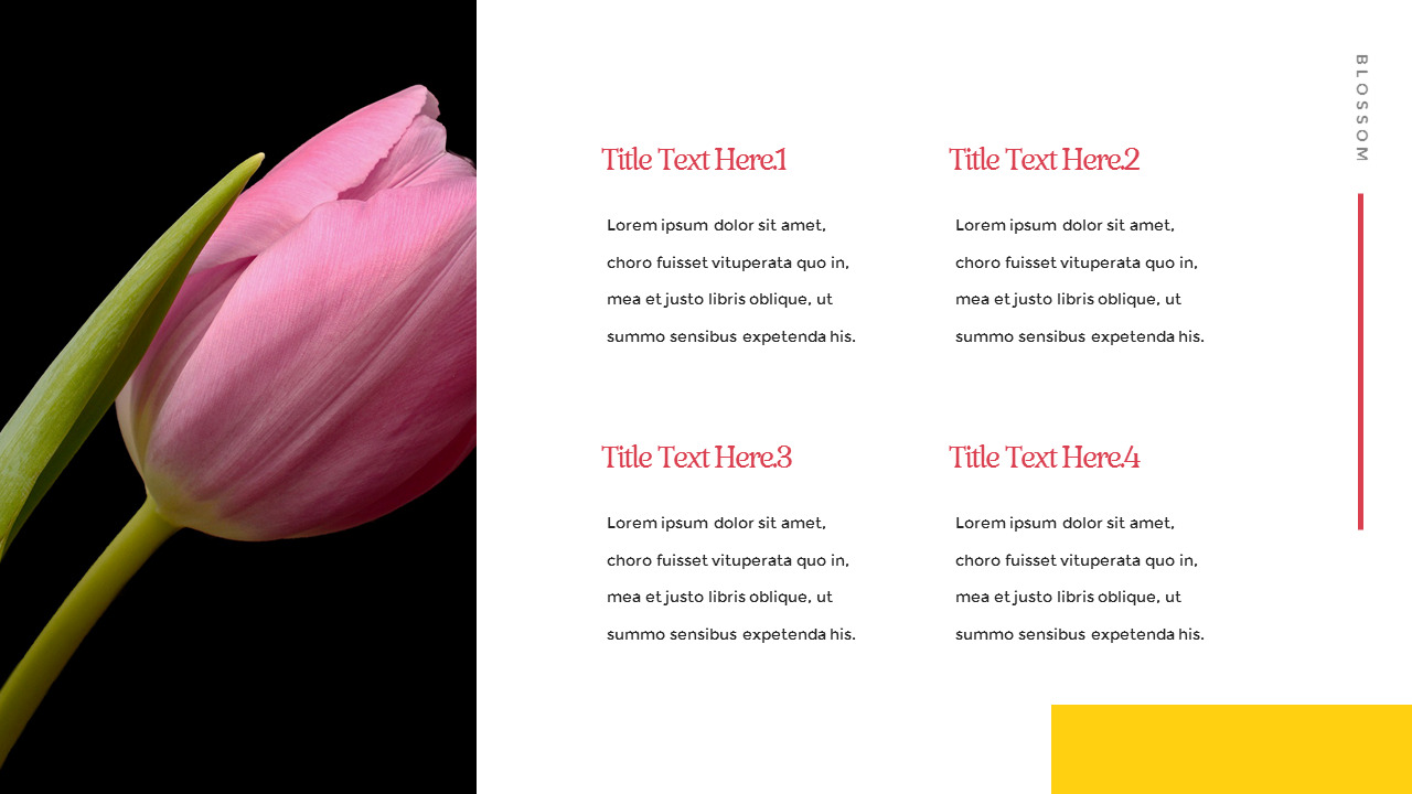 Tulip Easy Slides Design|Lifestyle|Google