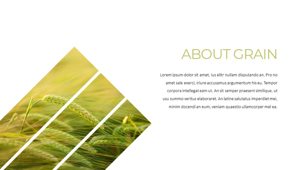 Grain Google Slides Template Design|Business