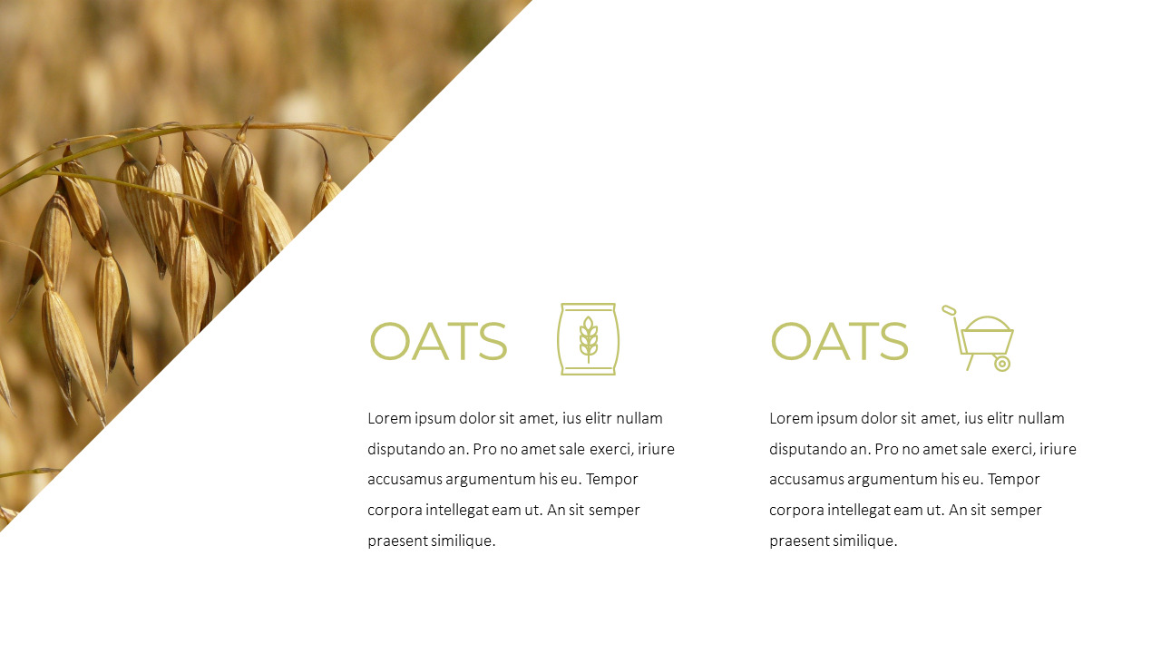 Grain Google Slides Template Design|Business