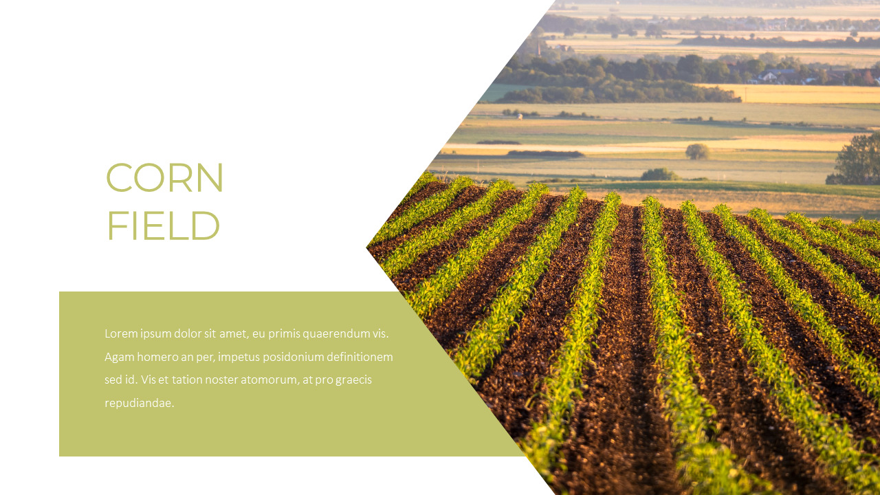 Grain Google Slides Template Design|Business