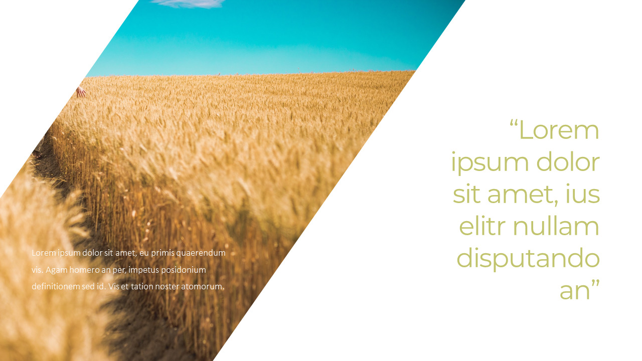 Grain Google Slides Template Design|Business