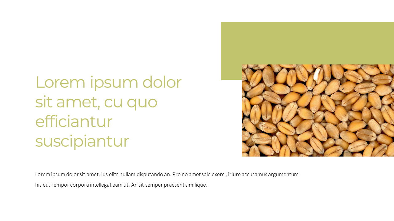 Grain Google Slides Template Design|Business