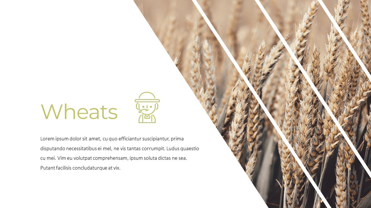 Grain Google Slides Template Design|Business
