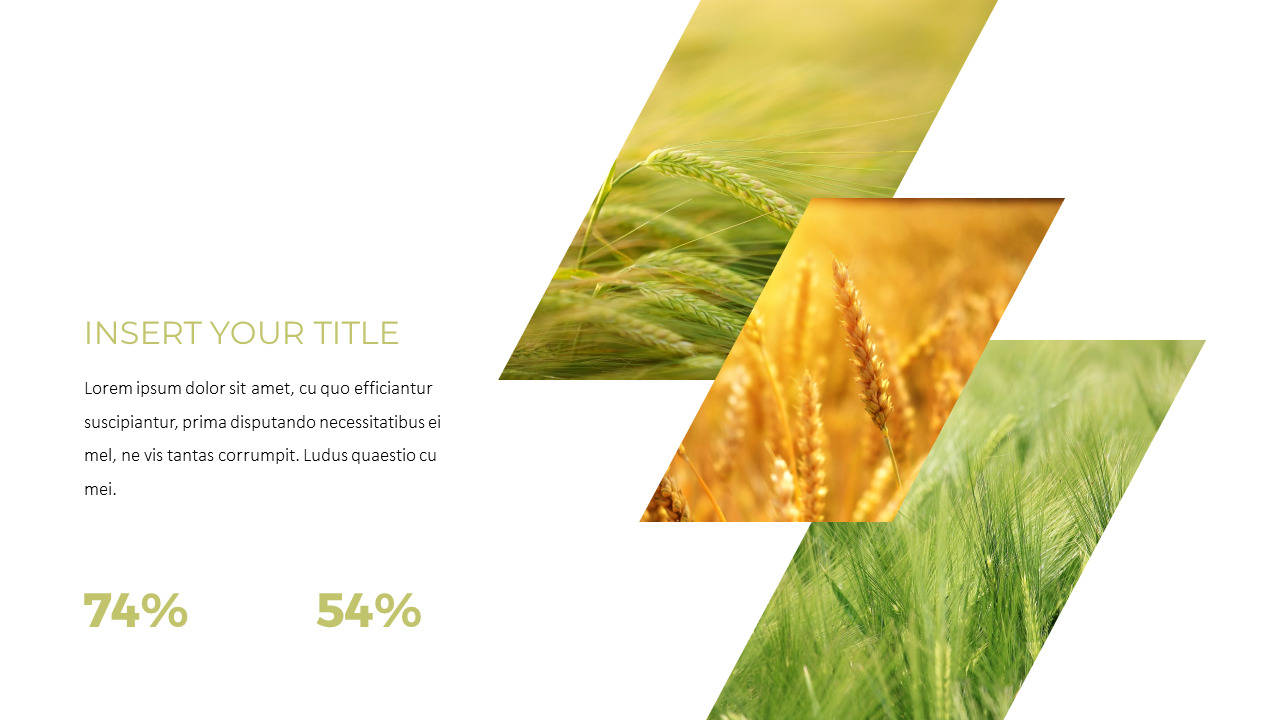 Grain Google Slides Template Design|Business