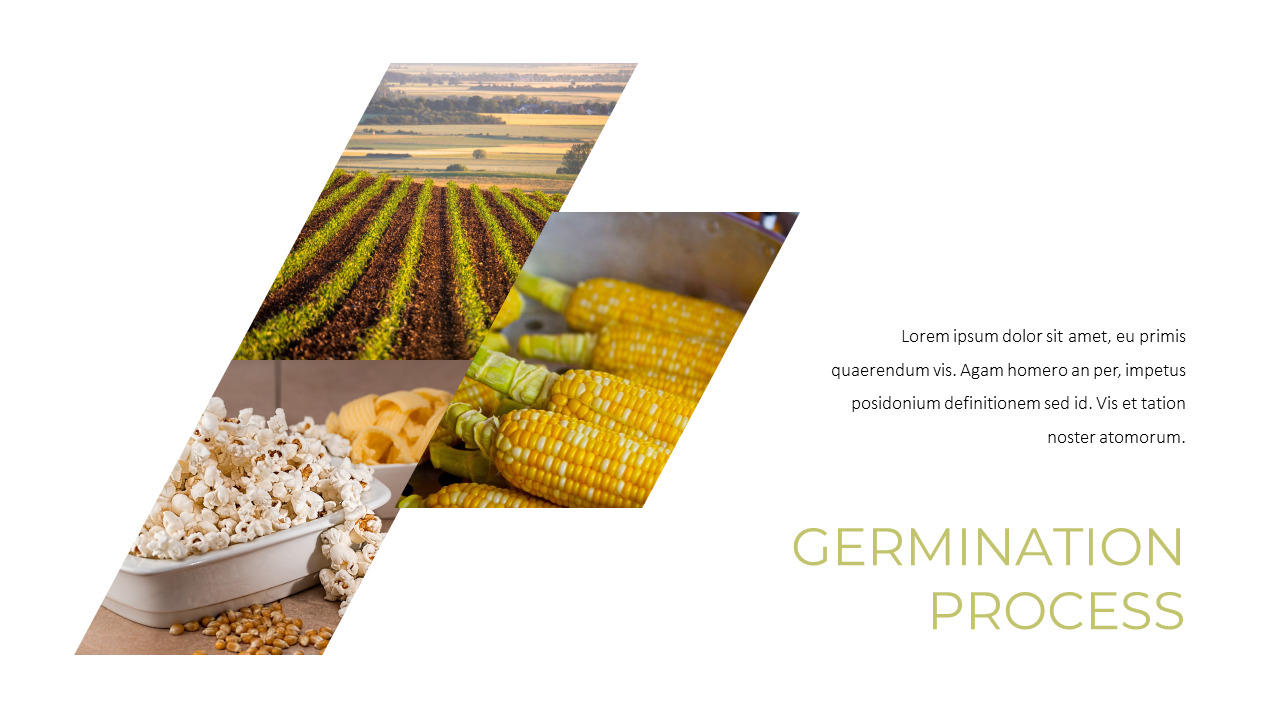 Grain Google Slides Template Design|Business