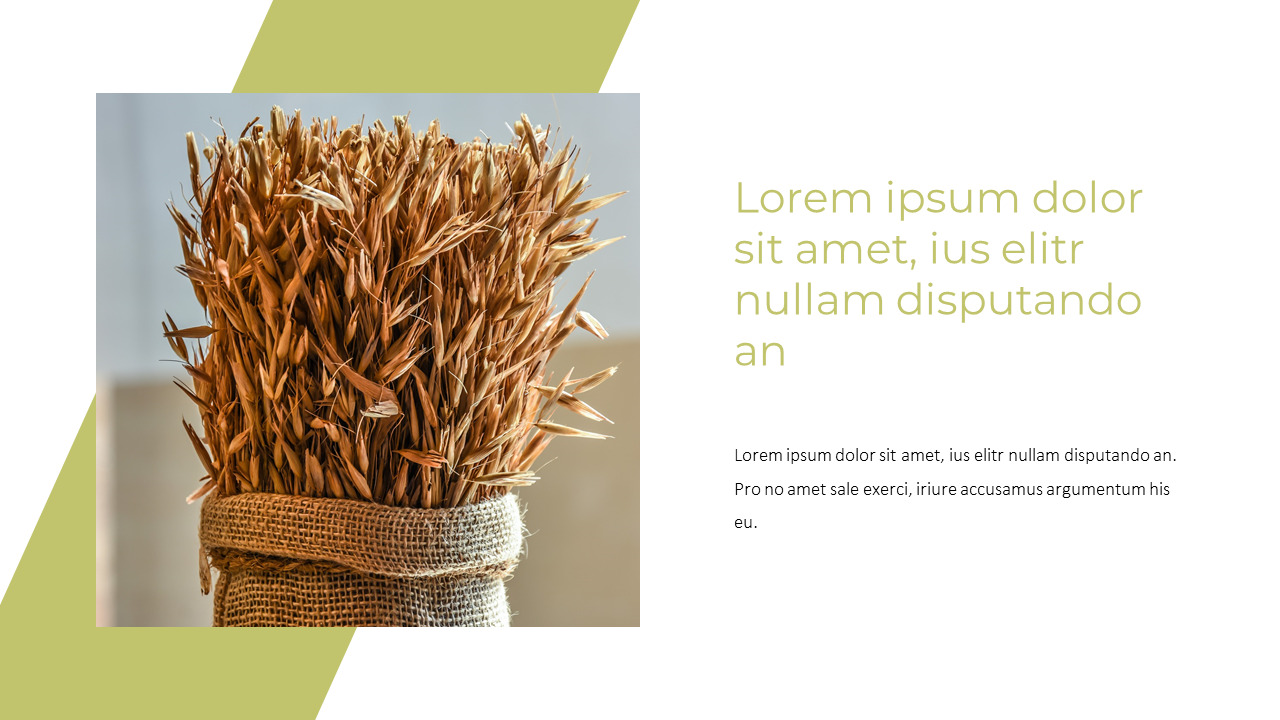 Grain Google Slides Template Design|Business