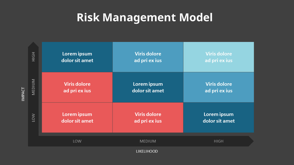 Risk Management Model|Tables|Diagram