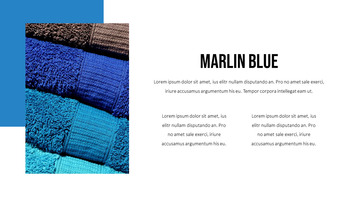 Blue Spectrum PPT Templates|Lifestyle
