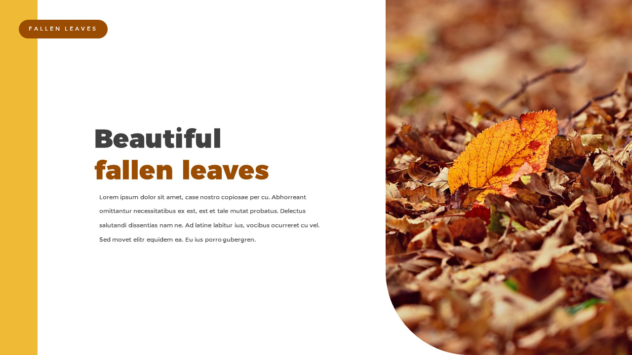 fallen leaves PowerPoint Templates Multipurpose Design|Lifestyle