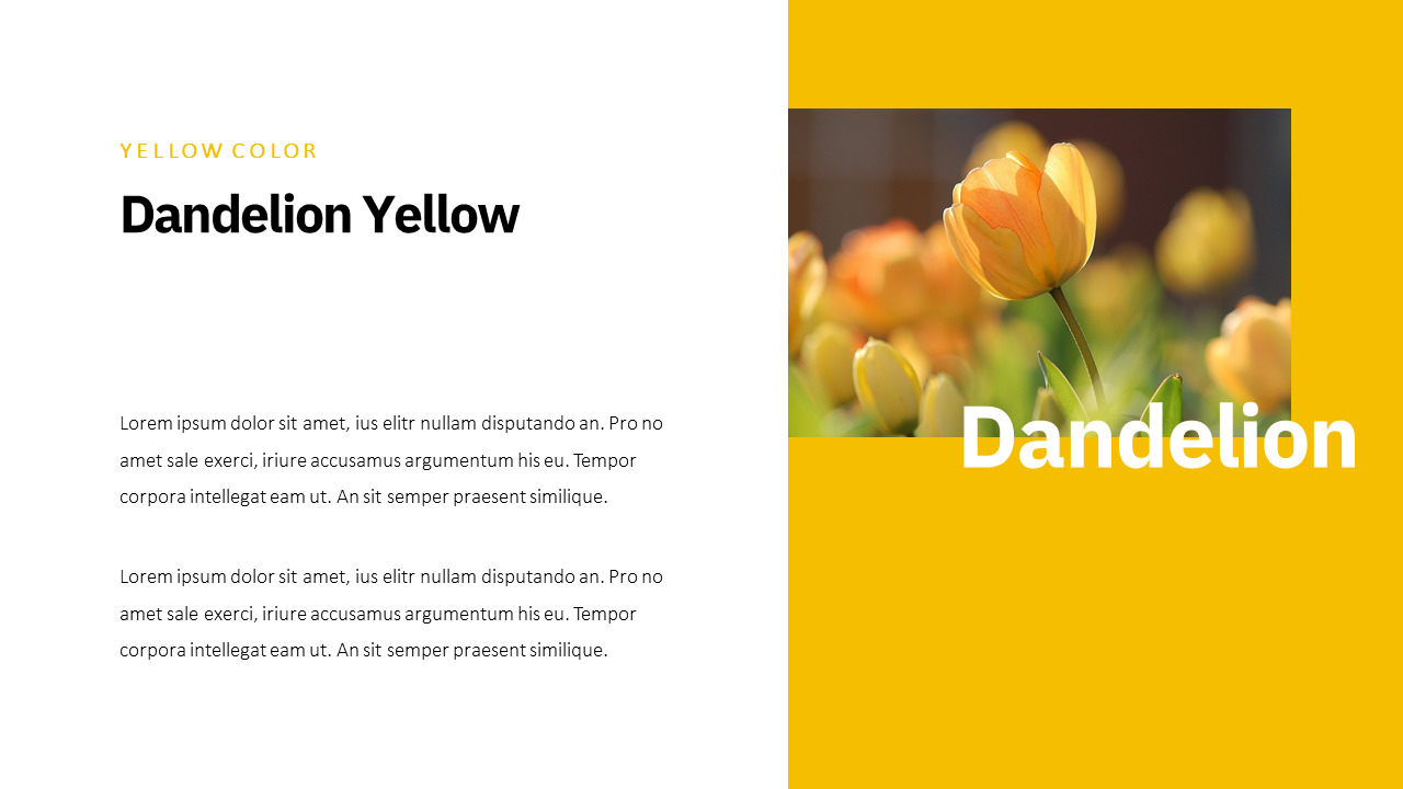 Yellow Spectrum Creative Google Slides|Lifestyle